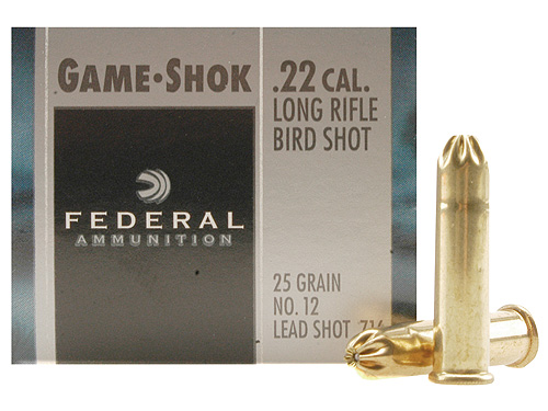 A Picture of a Leucistic Mockingbird (Now with more pics) - AR15.COM